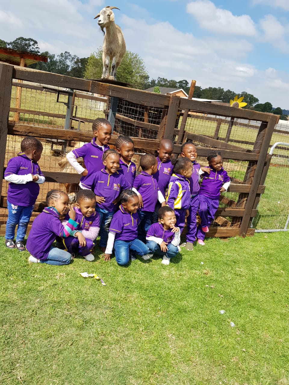 Big Bear Creche - Gallery